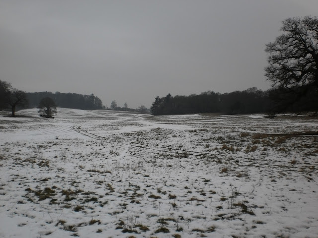 Las rutas de Nu: Gerrards Cross - Bulstrode Park