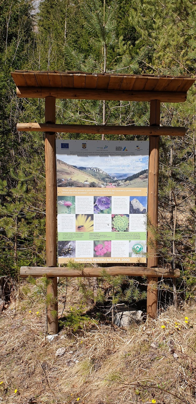 Pasionati de frumos !: Cheile Șugău - Peștera Tunel - Peștera Munticelu ...