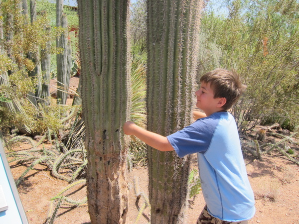 Bean's Blog: San Diego and Arizona