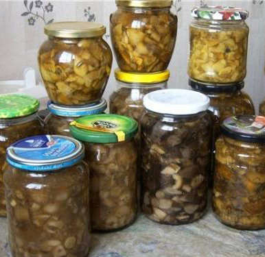 Minu kodunurk.: *Hoidised