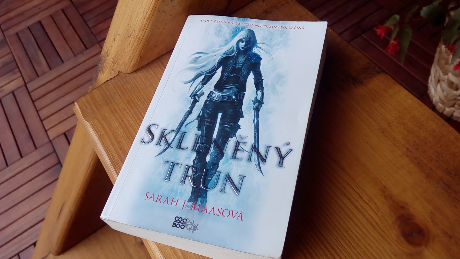 Sarah J.Maas - Skleněný trůn