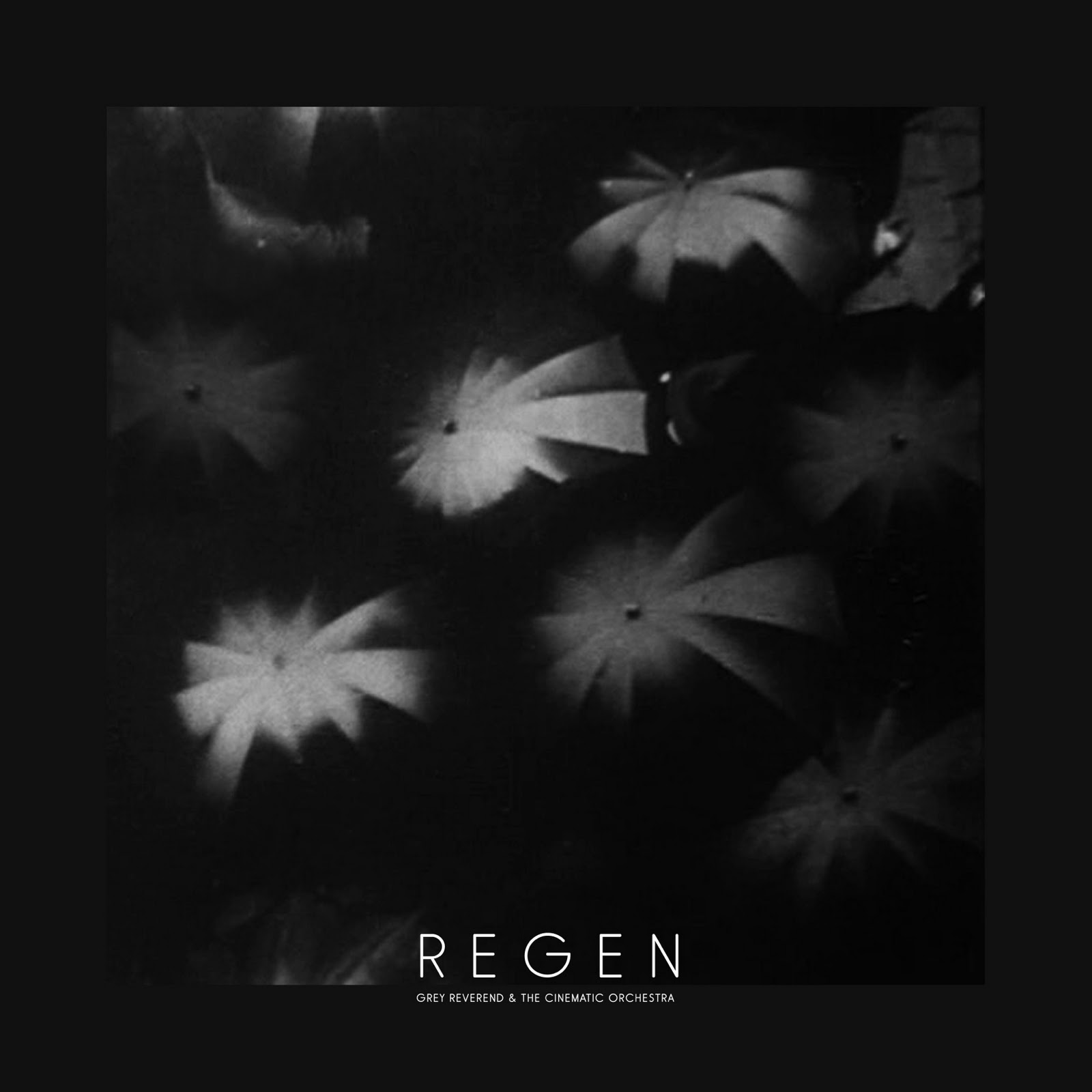 Grey Reverend: Grey Reverend on NBC's Parenthood, and 2012 News