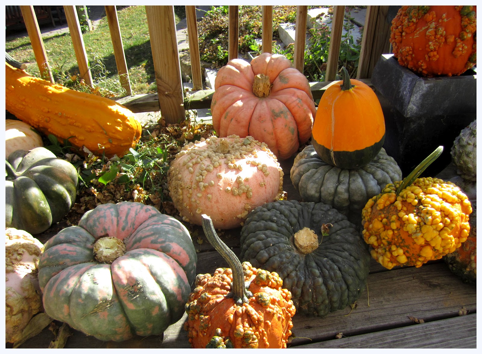 the corson cottage: {Heirloom Pumpkins}