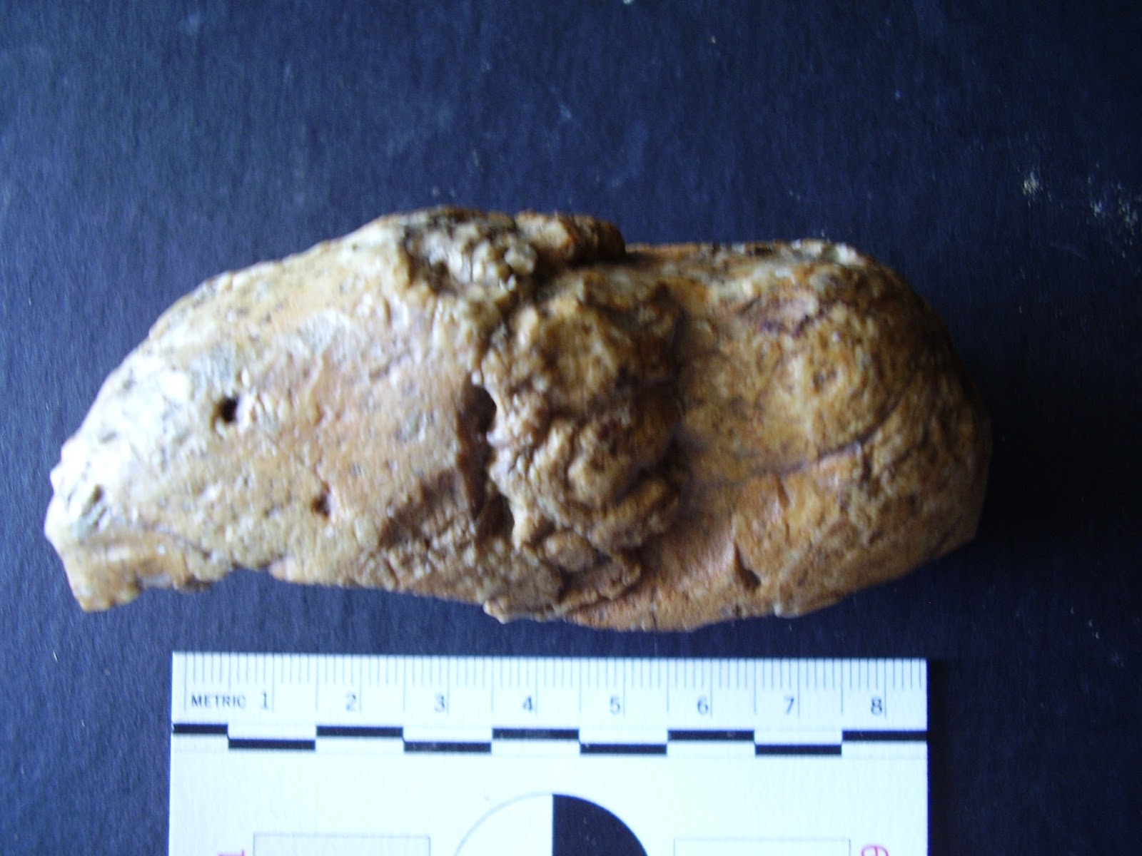 Archaeology of Portable Rock Art: Oregon burin flakes join flock of ...