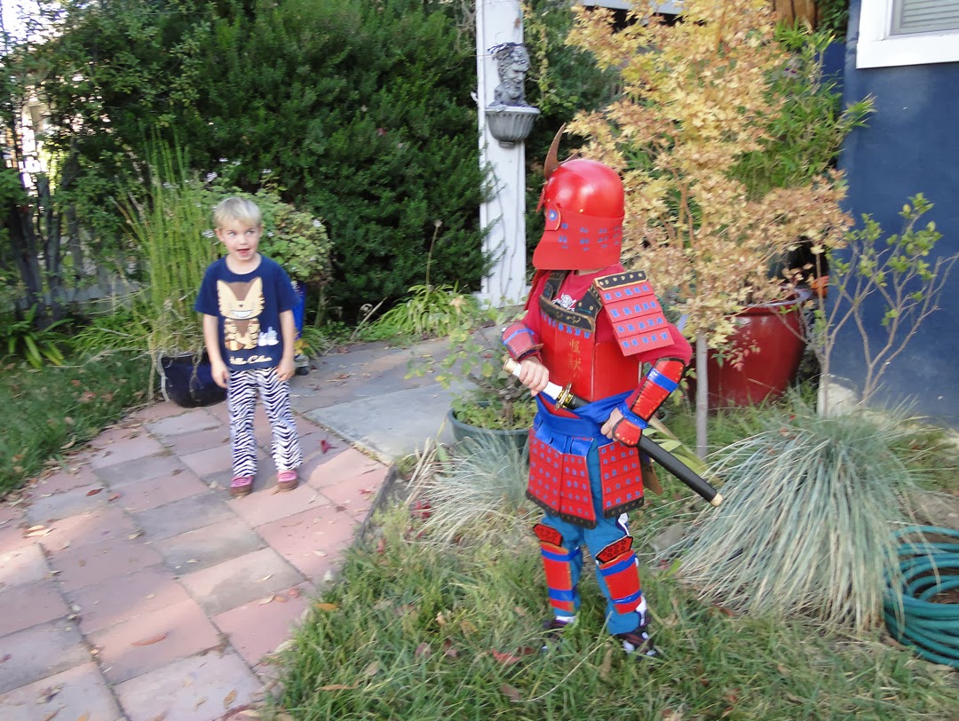 Skull and Crown: Cardboard Samurai