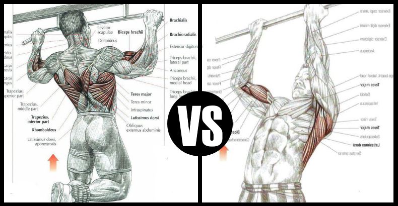 Blog para doidos!: Chin Ups Vs Pull Ups and How To Get Better At Both