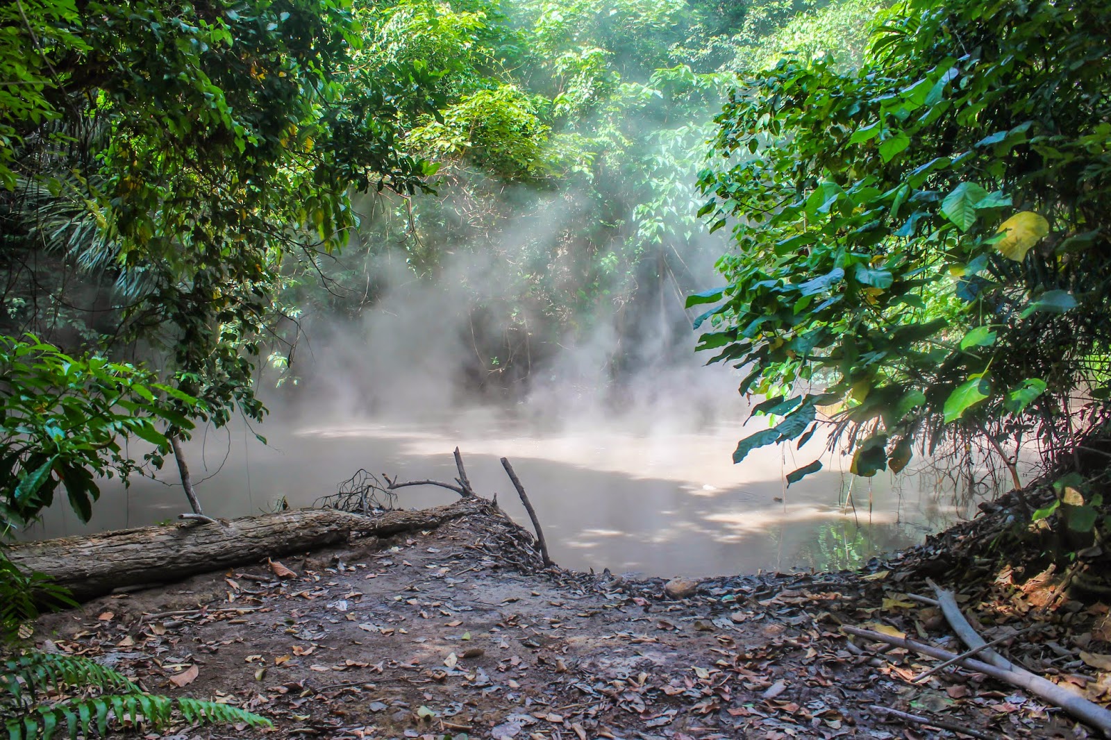 Wandering Den: Mt. Makiling