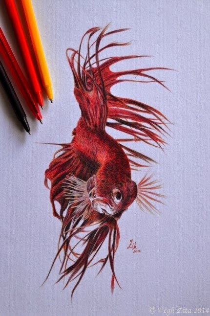 Fotórealista rajzok: Egyéb rajzok