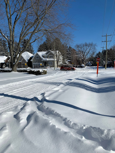 Northern [high]Lights: Toronto Blizzard
