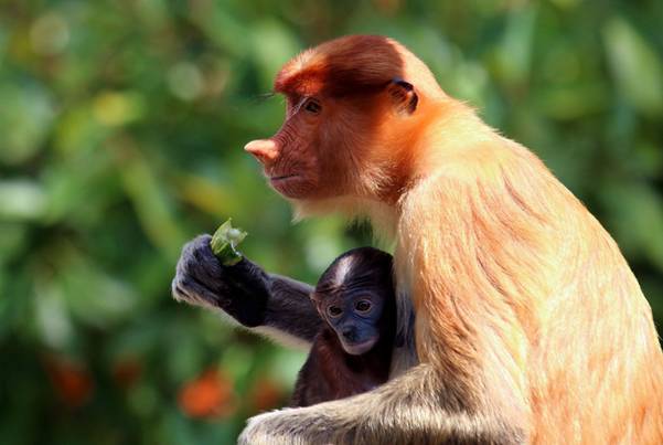 99 WOW: Is This a Deformed Person, Mutant or What?هل هذا شخص مشوه أم ...