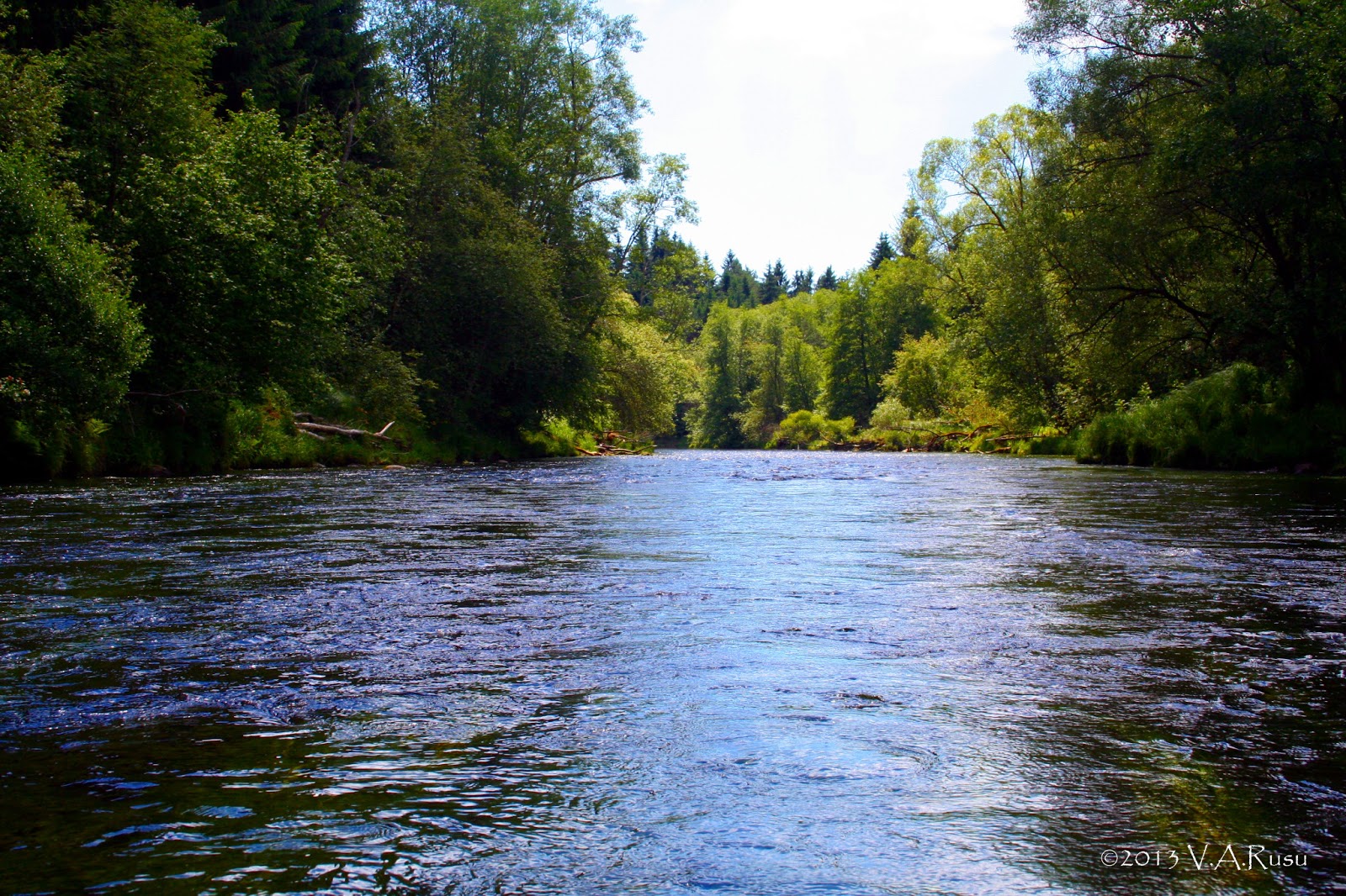 Vladys Fly Fishing Lair: Killer Dry Fly - Modified Jingler (Part I)