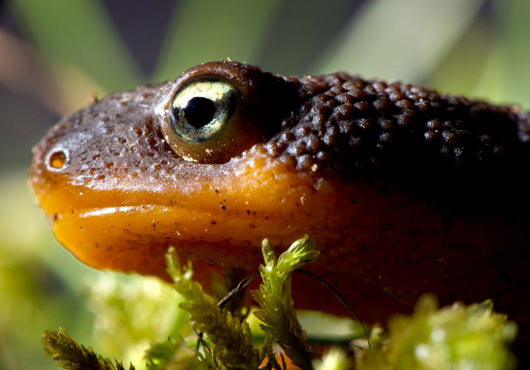 Robin Loznak Photography: December 2011