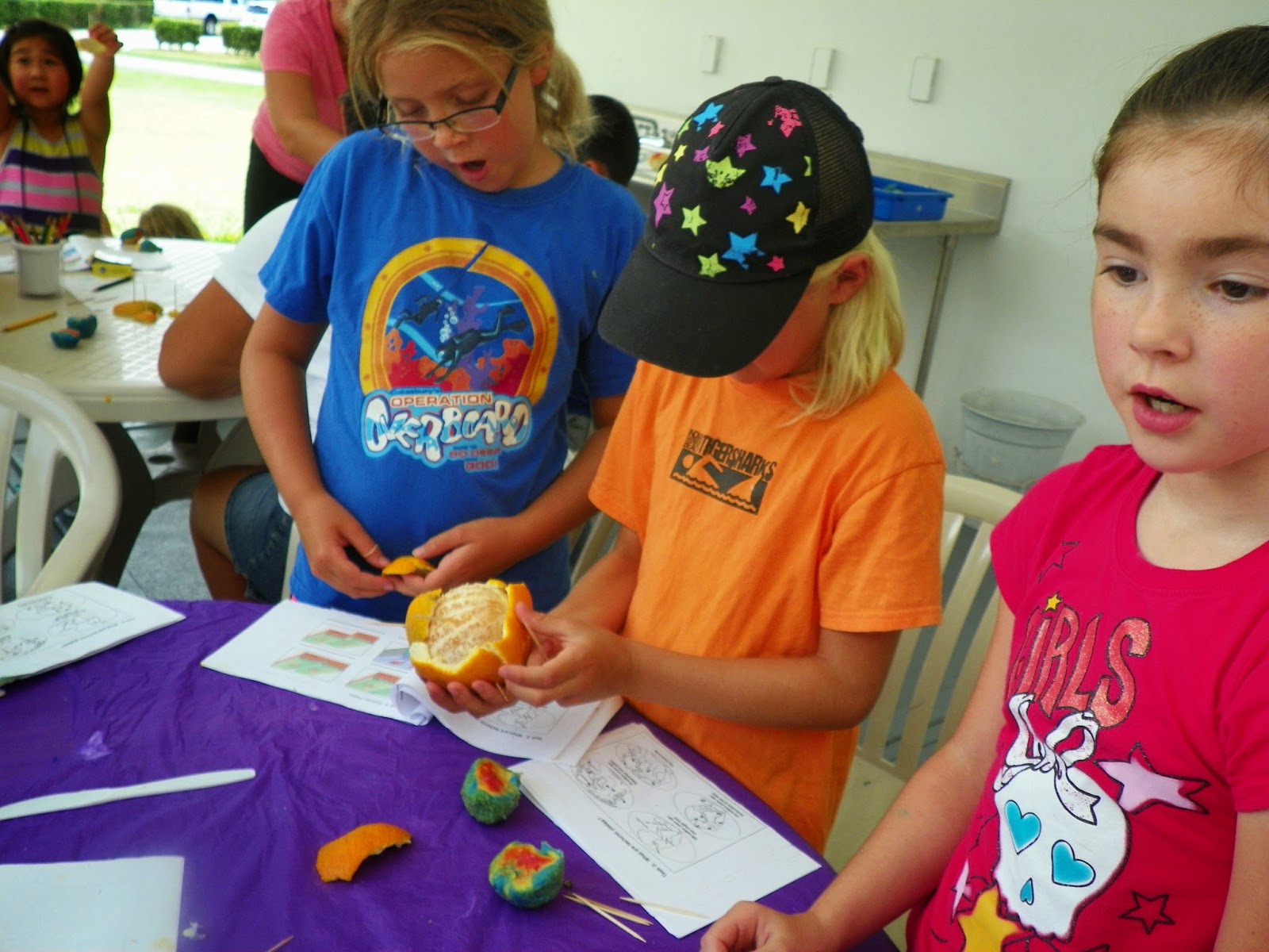 The Little Sewing Shop: Volcanoes and tectonics lapbook, unit study and ...