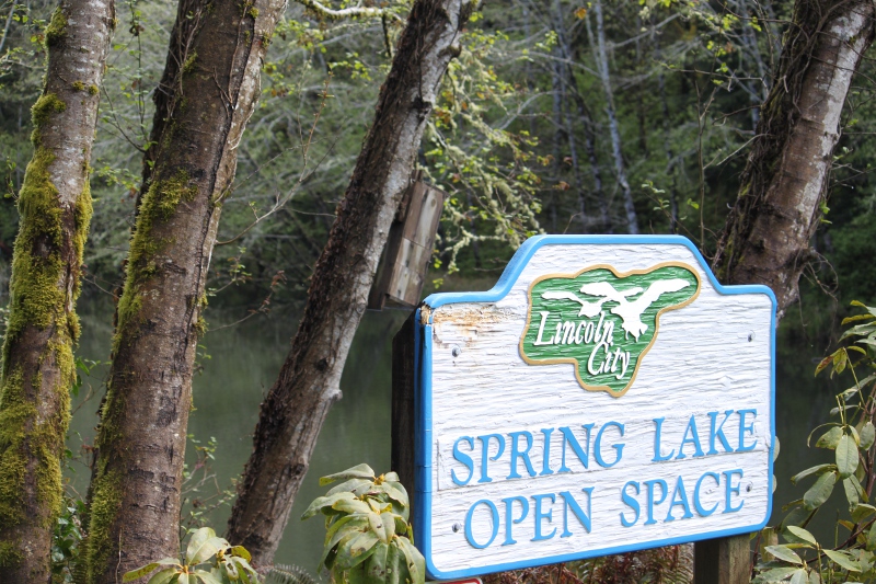 Central Oregon Coast: Spring Lake Open Space