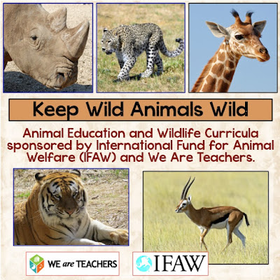 Amy Brown Science: Keep Wild Animals Wild!