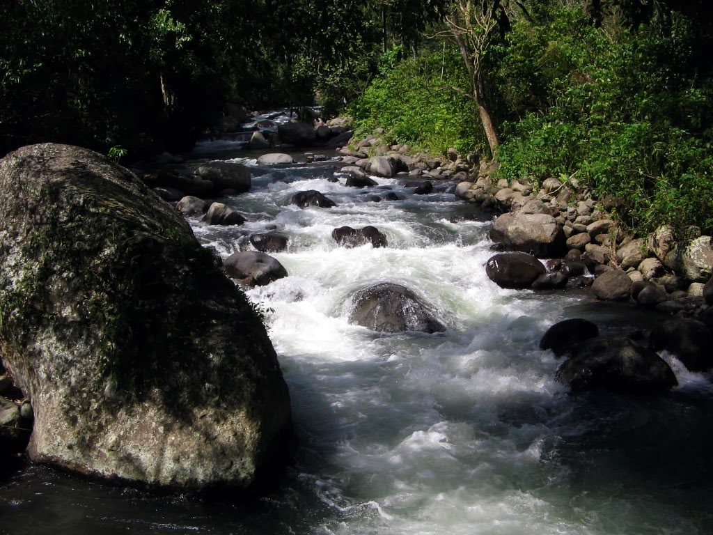 LOGSAC: Backtrack # 12: MT. TIBOLO-MT. SIBULAN CROSSOVER SURVEY CLIMB