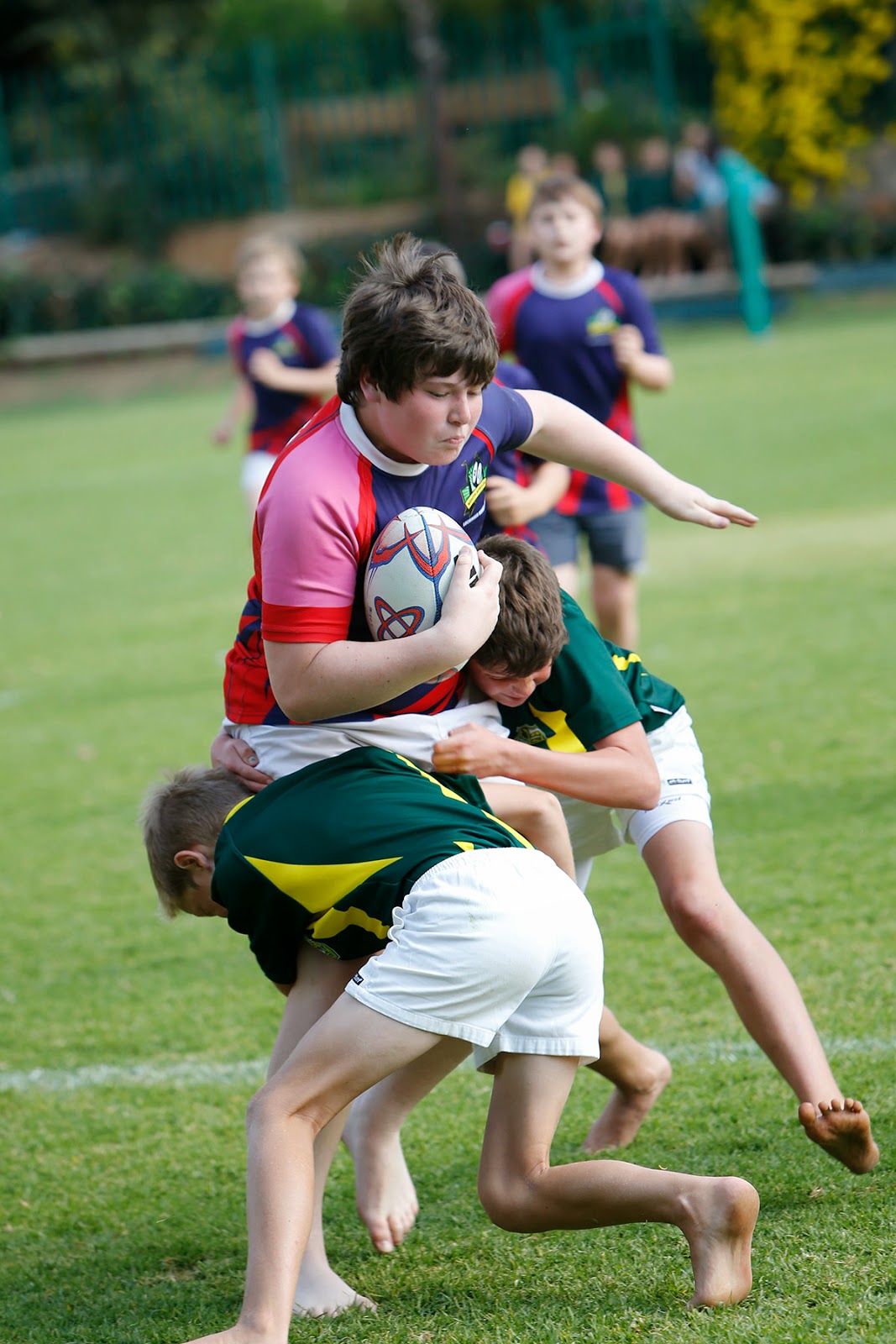 LHS and St Hugh's South Africa Tour 2014: Jan Celliers Photos