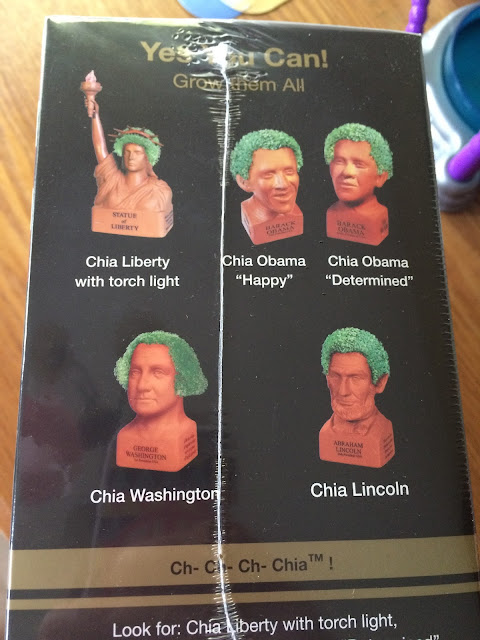 Chi...Chi...Chi..Chia! Obama Chia Pet #review #giveaway - Mommy's Block ...