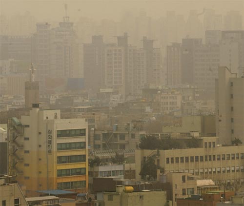 The Seoul Patch: Don't Breathe the Yellow Dust