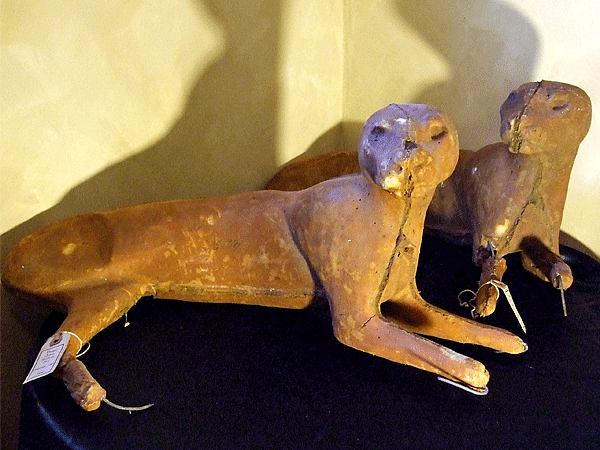 Pandora's Parlor: Vintage Taxidermy Bobcat Forms