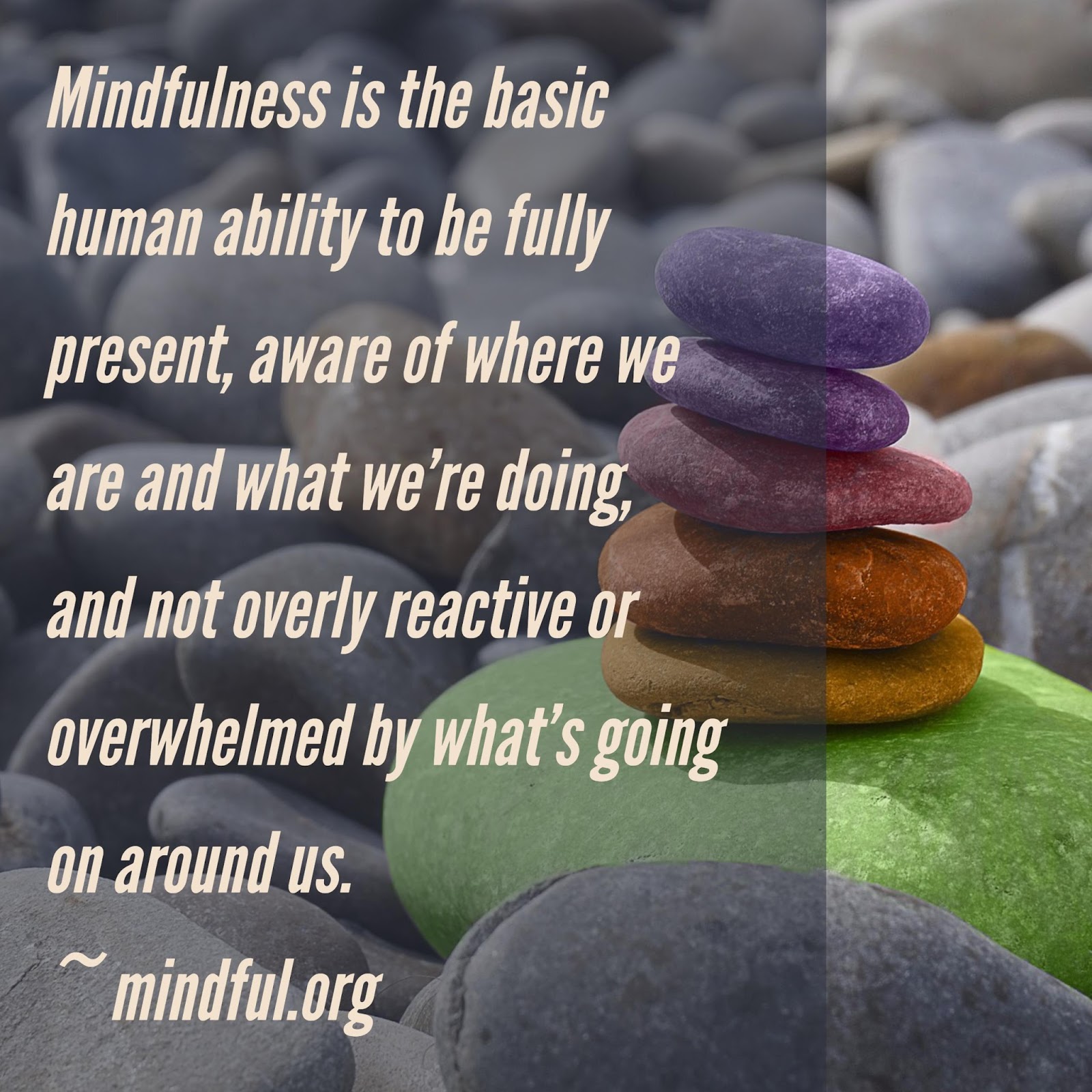 The Mindfulness Connection