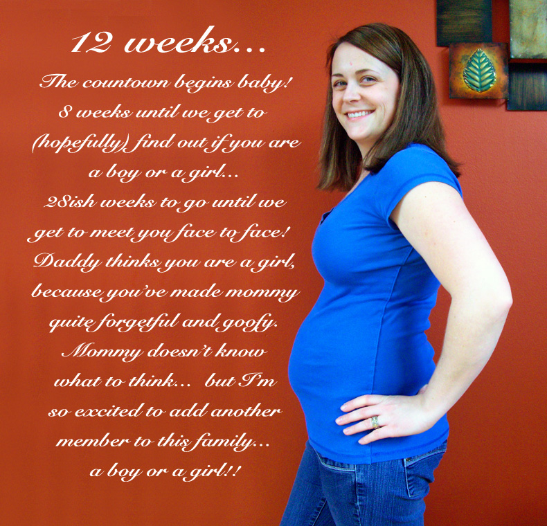 Plus Size Pregnancy Belly 12 Weeks