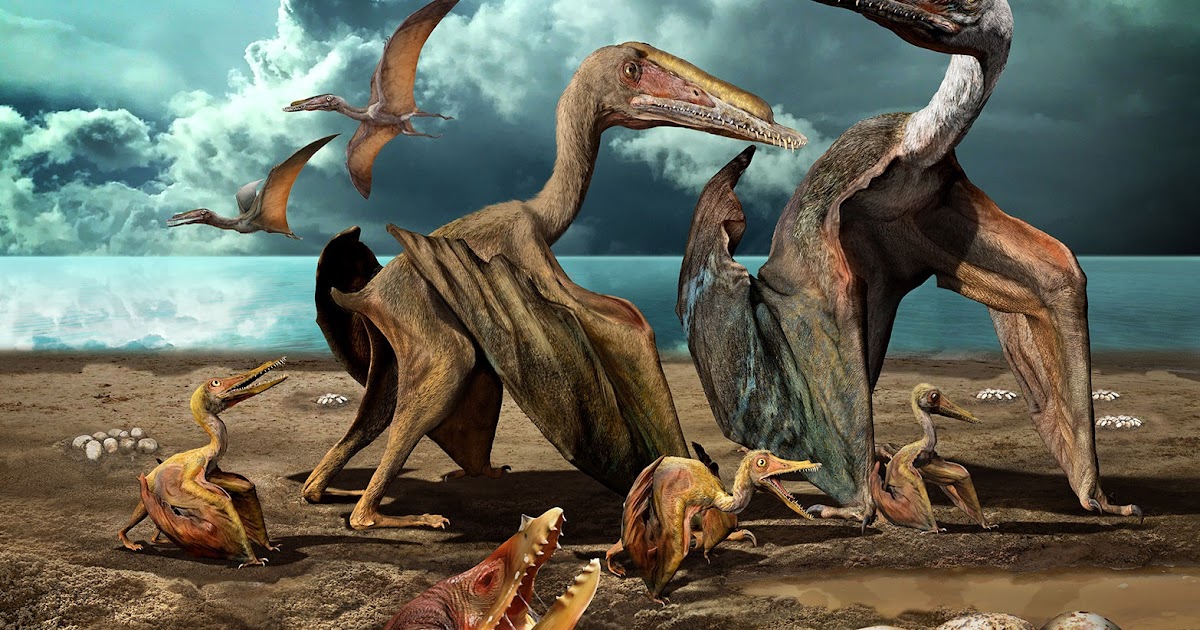 Species New to Science: [Paleontology • 2017] Hamipterus tianshanensis ...