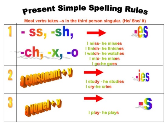 ENJOY LEARNING ENGLISH : SIMPLE PRESENT PRACTICE