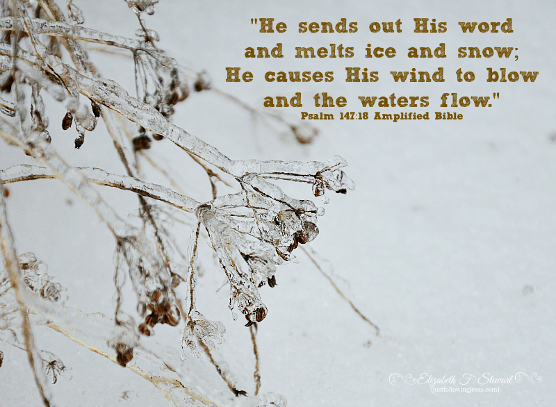 Just following Jesus in my real life...: When your heart feels hard and ...