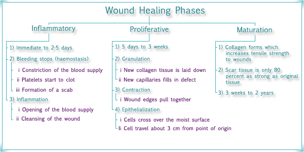 Physiotherapy!: Phases of Healing - Summary