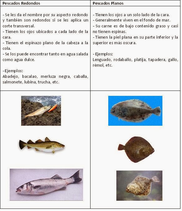 Cocina creativa: Pescados redondos y planos