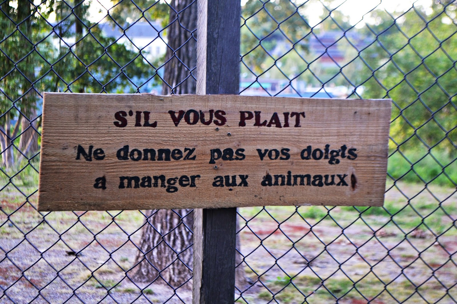 Adeline Magazine: Pairi Daiza - 20 ans déjà