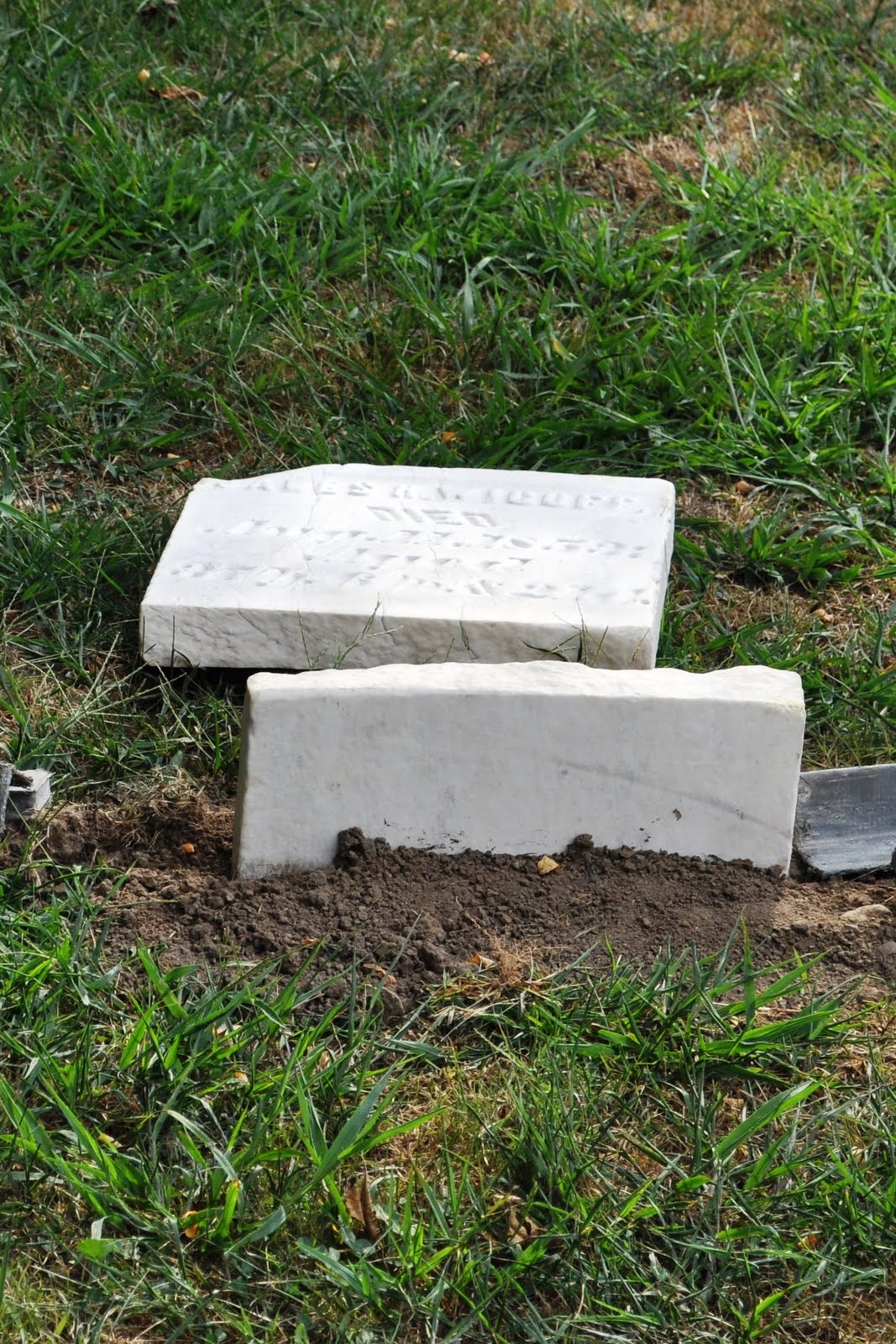 The Faces Of My Family: Tombstone Tuesday - Cemetery Preservation Workshop