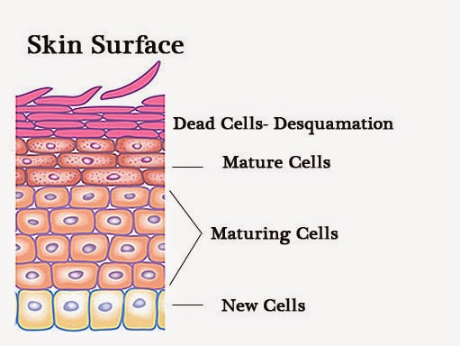 September 2014 | The Beauty Bin