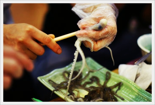 twenty2december™ : 10 Weird Food Delicacies From Around the World