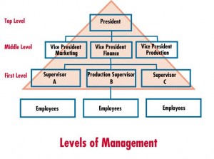 technoSHF: Organizational Information Flow And CBIS