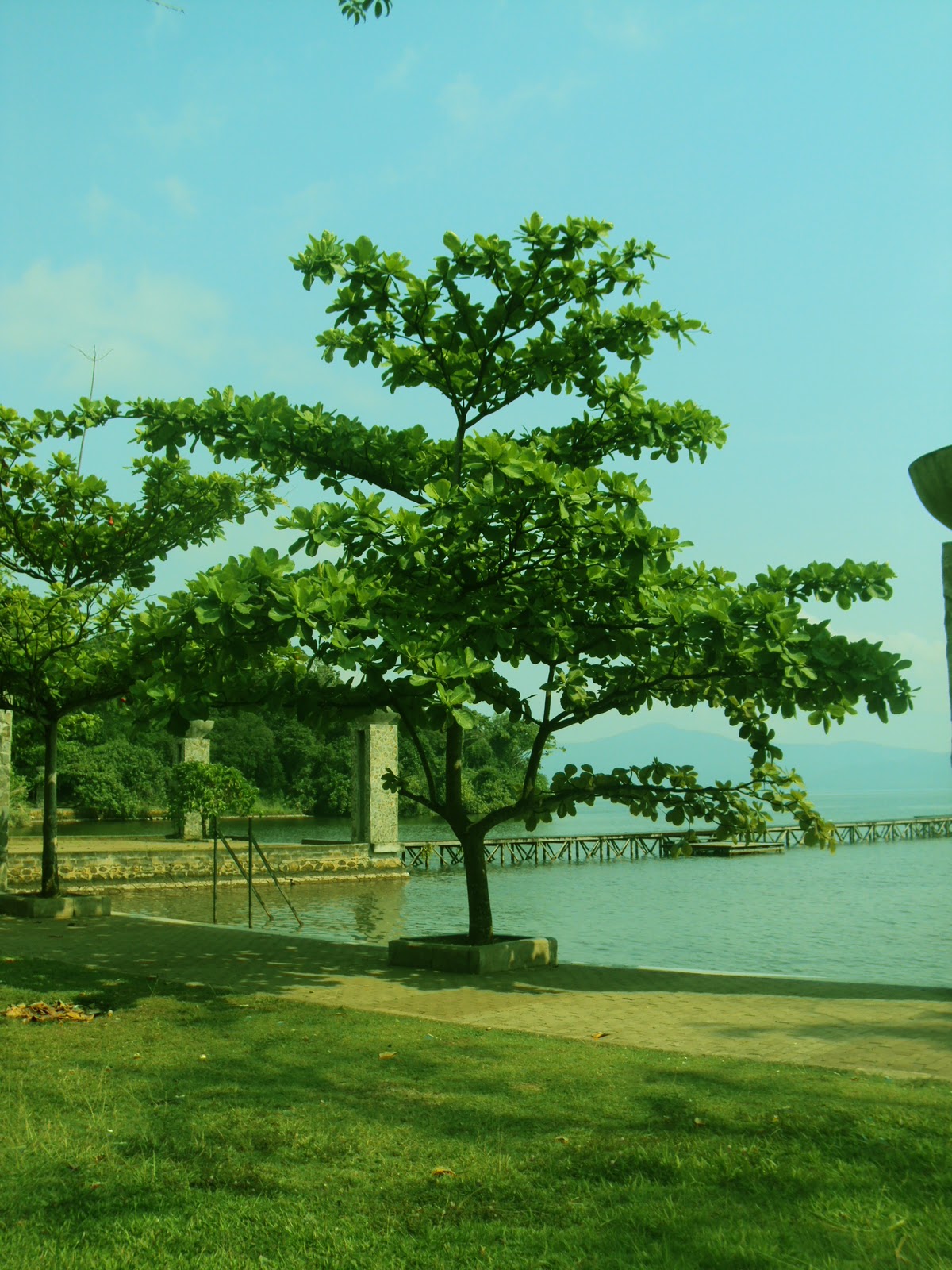 sorowako: Sorowako landscape