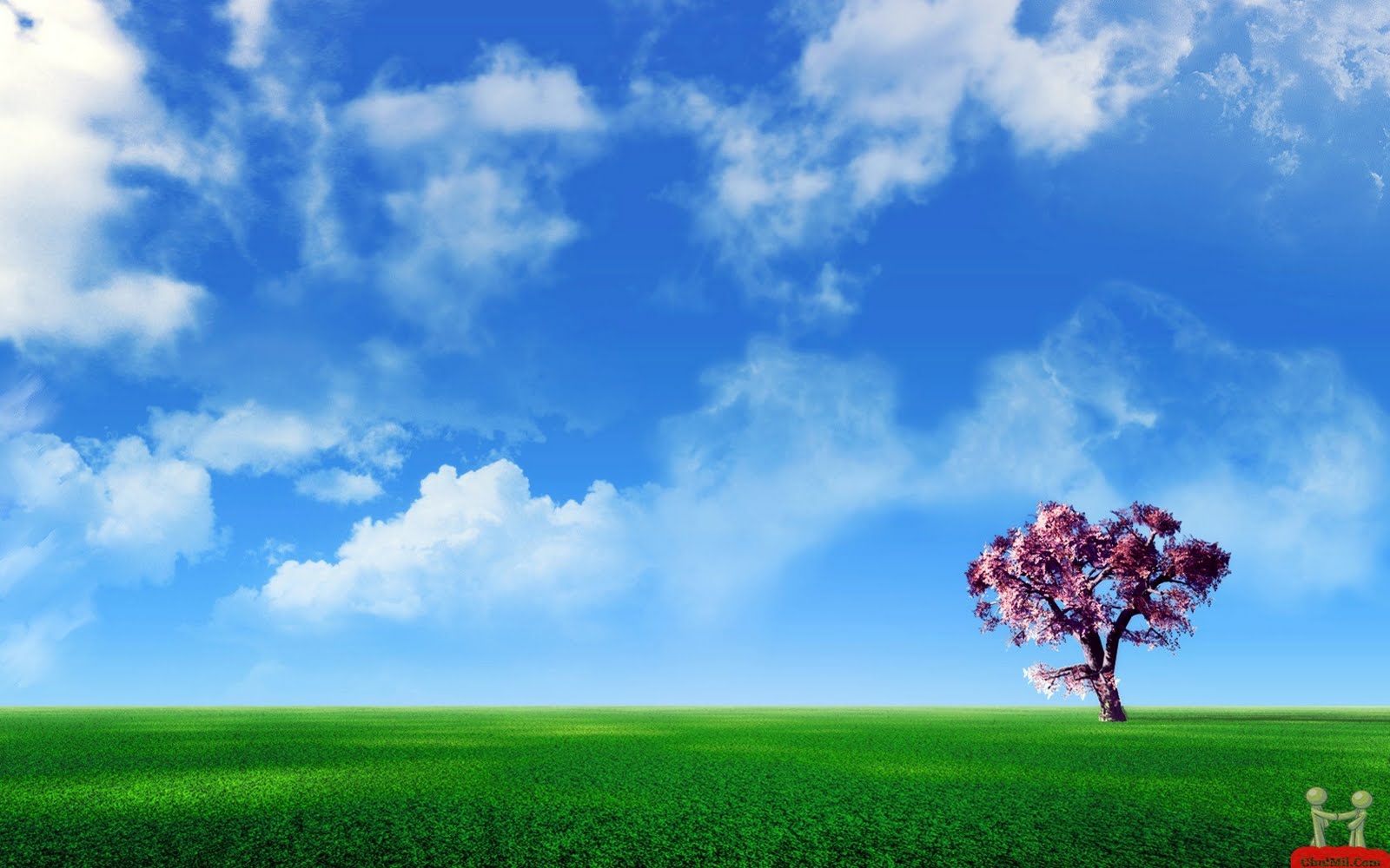 wallpaper: Best Natural Greenery Scenery Desktop Wallpapers