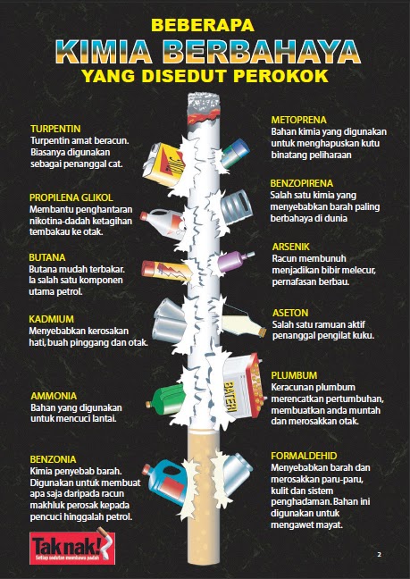 BERMULANYA DISINI...: FAKTA YANG PERLU ANDA TAHU TENTANG ROKOK