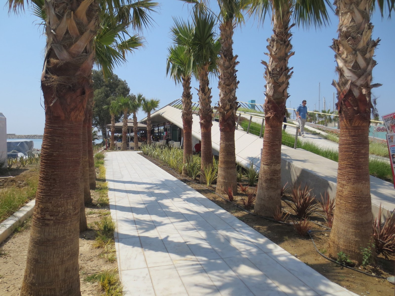 A Landscape Architect and a Passport