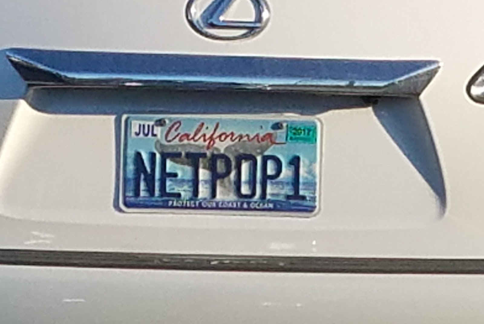 Fountainhead: Only in Silicon Valley: License Plate Sightings in the Field