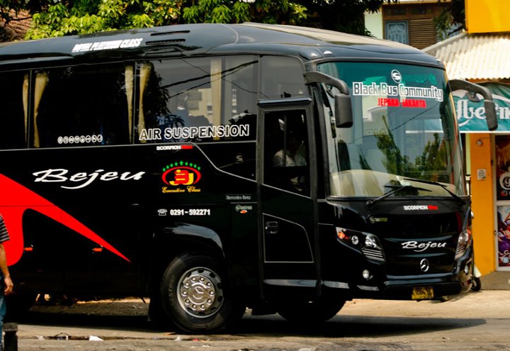 Agen Bus Malam & Travel Karawang: PO.BEJEU black bus community