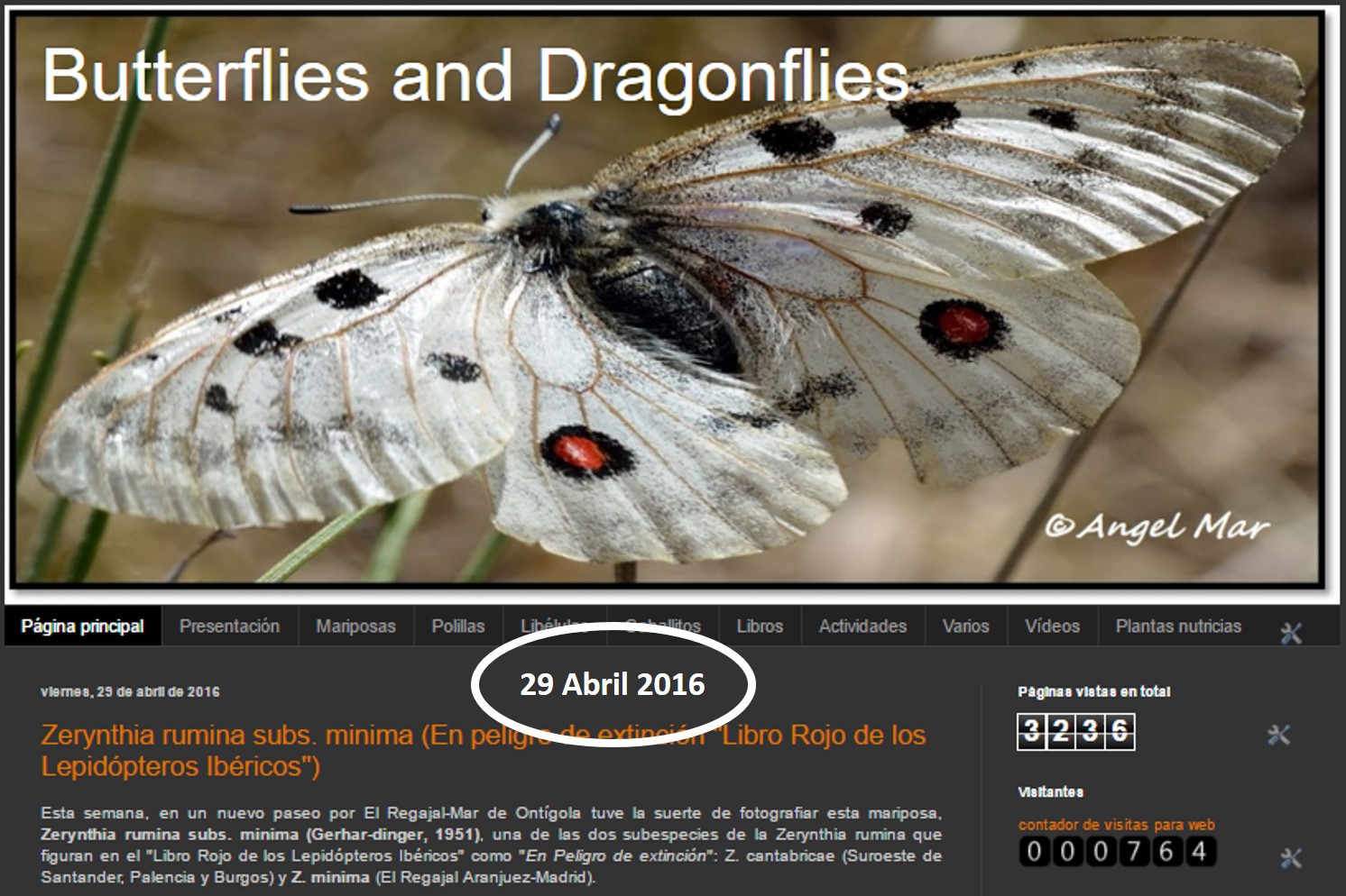 Butterflies and Dragonflies: Datos de la Evolución del Blog (Inicio 10 ...