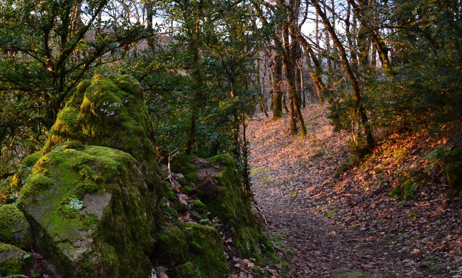 DROMESCAPE - Randonnées en Drôme et Escapades photographiques: Les ...