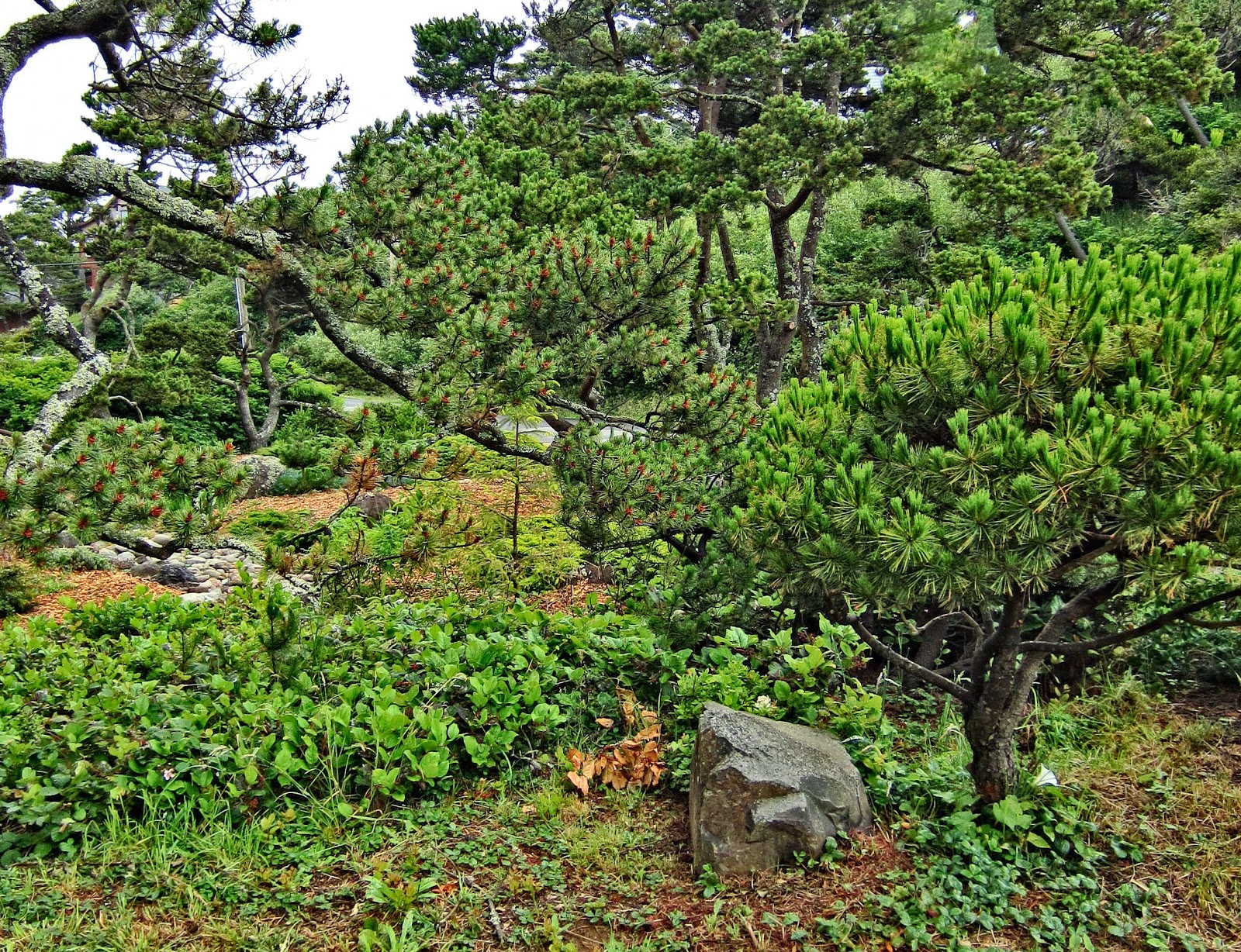 Thom Zehrfeld Photography : Sister Cities | Mombetsu, Japan And Newport ...