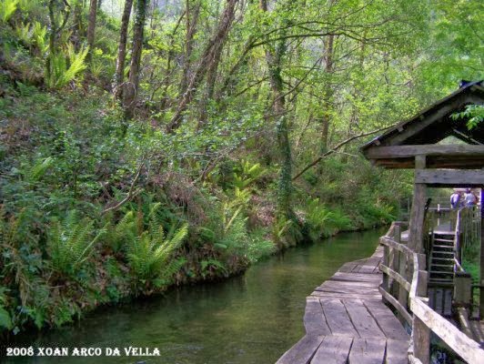 XOAN ARCO DA VELLA: MUIÑOS DE MAZONOVO - TARAMUNDI