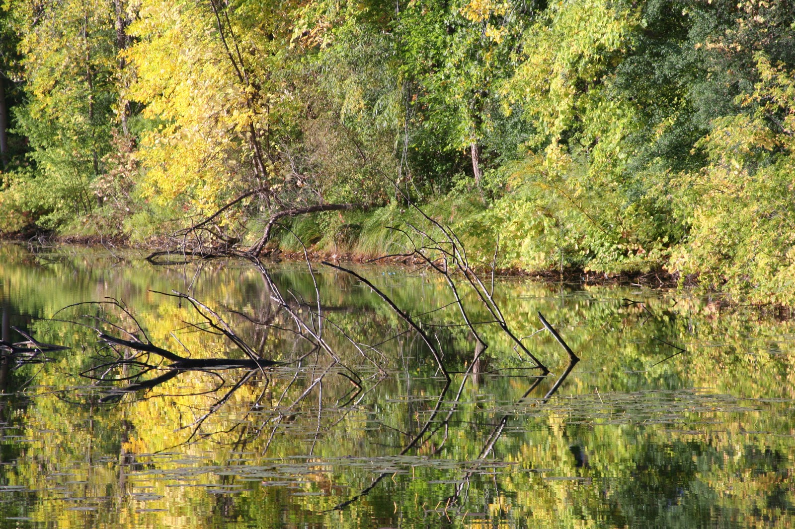 Isabella Conservation District Environmental Education Program: Every ...