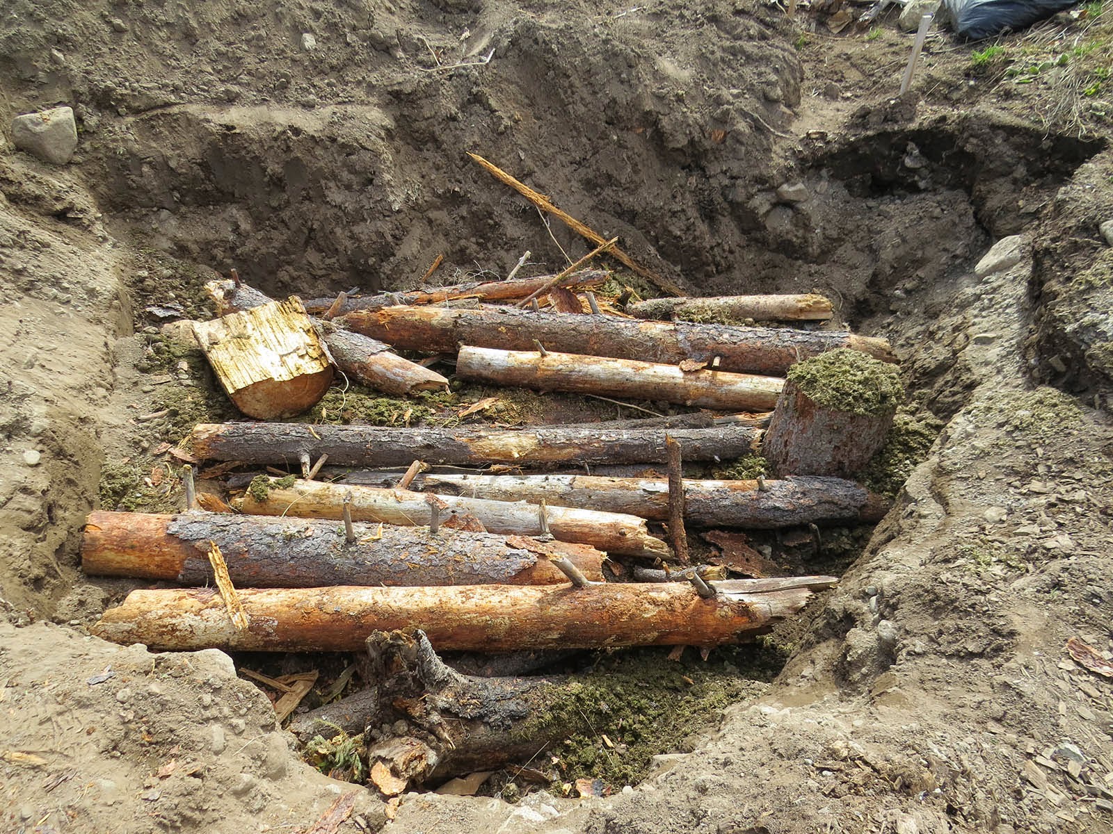Wood for Food ~ Gardening with the Slow Burn of Rotting Wood ...