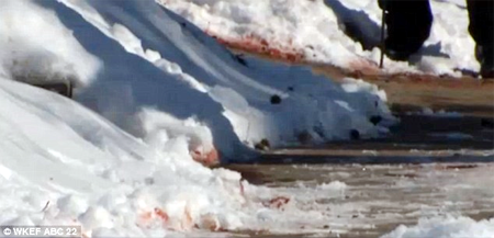 Four legged friends (and enemies): Ohio Warden Mark Kumpf On the Hook ...