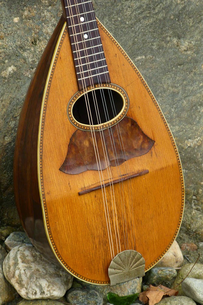c.1900 Bay State Bowlback Mandolin